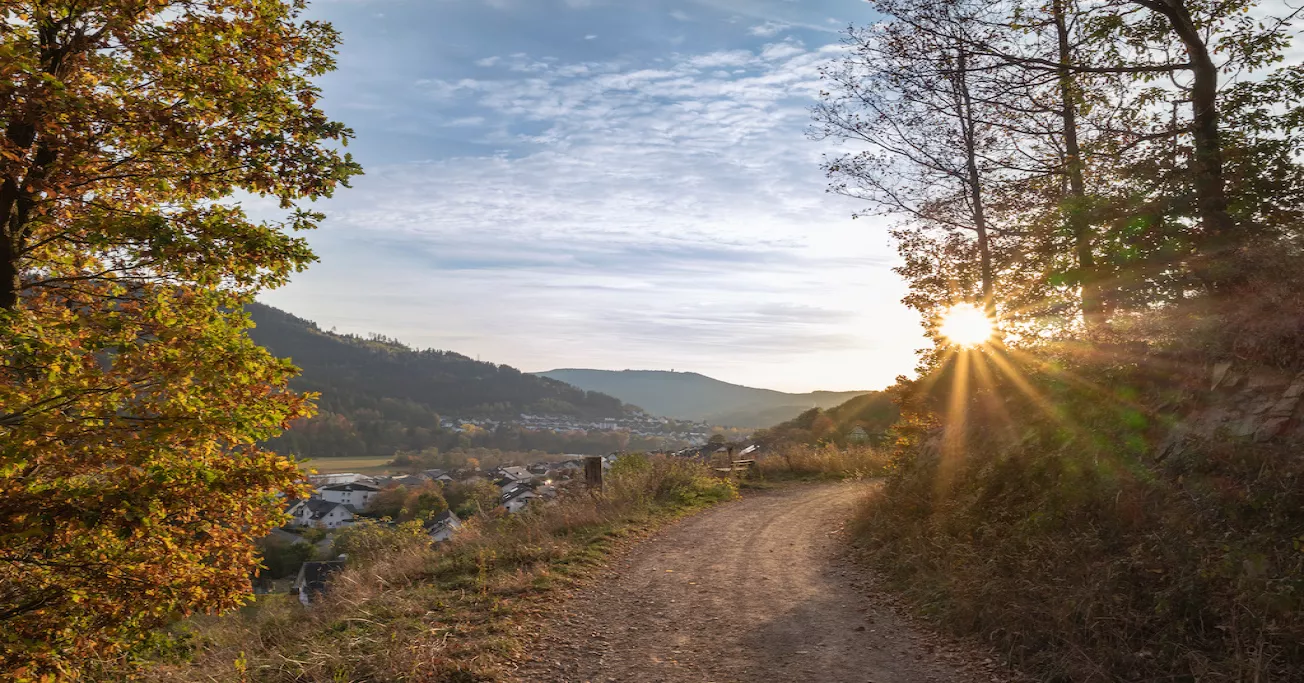 Ense im Sauerland - Infos | Fakten über Ense